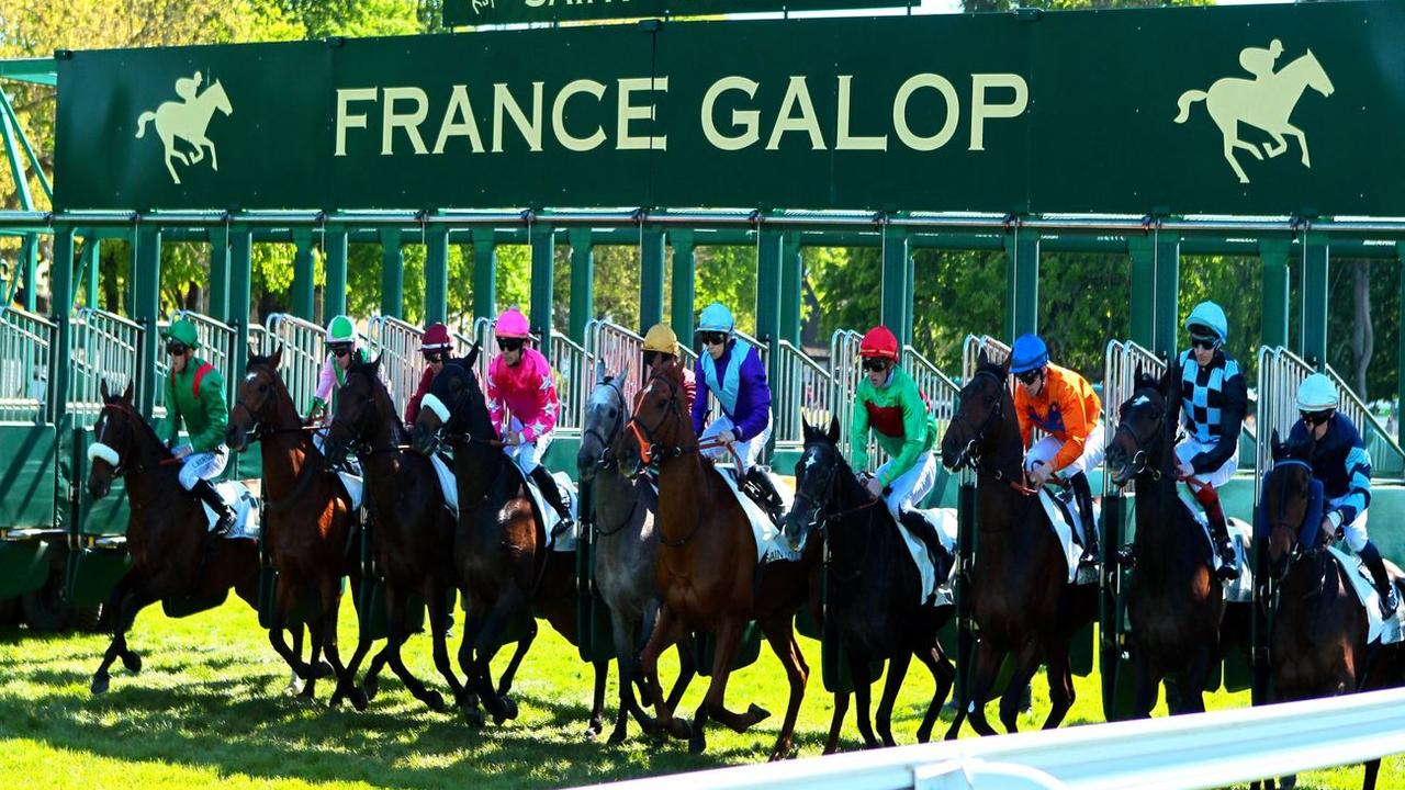 Quinté Direction Saint Cloud Pour Le Quinté Du Lundi 1er Avril Equidia