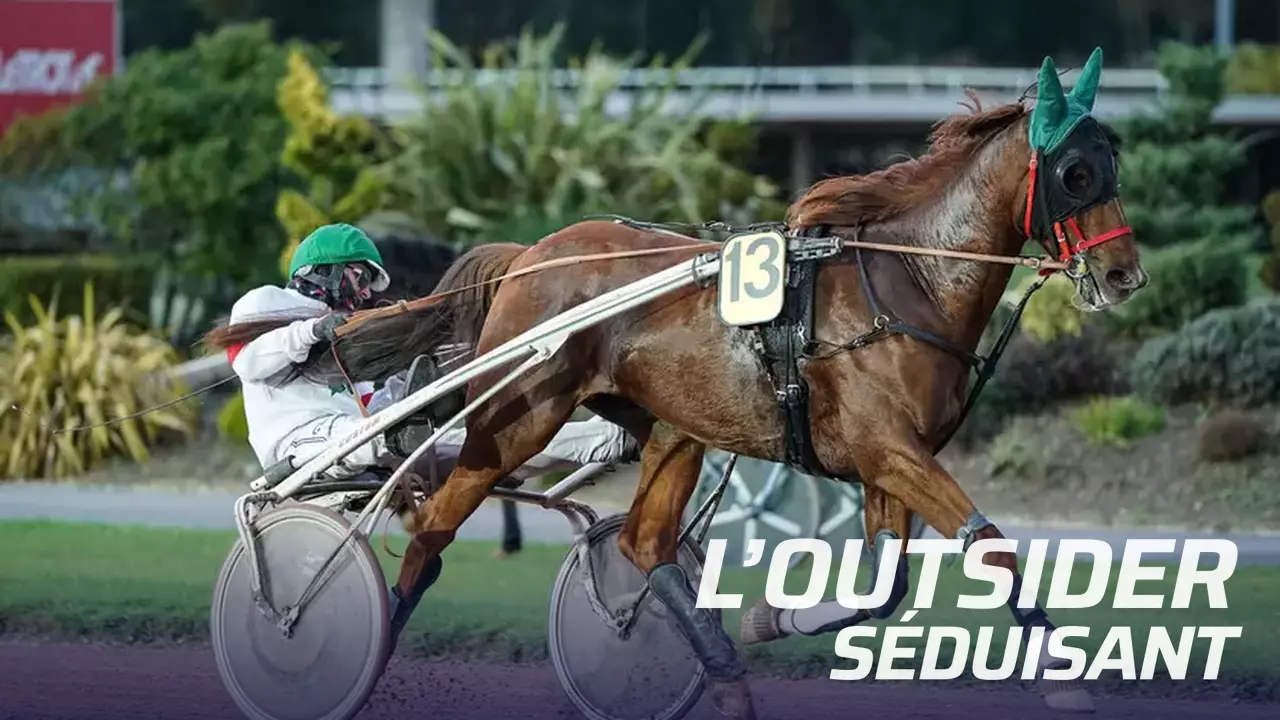 Quinté+: Happy Danover, l’outsider séduisant du Quinté+ du mercredi 9 juillet aux Sables-d ...