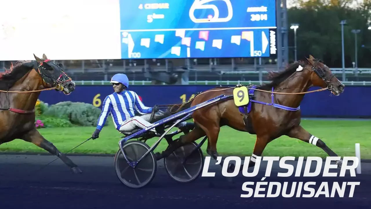 Quinté+: Canto Dei Venti, l’outsider séduisant du Quinté+ du vendredi 18 juillet à Cabourg | Equidia