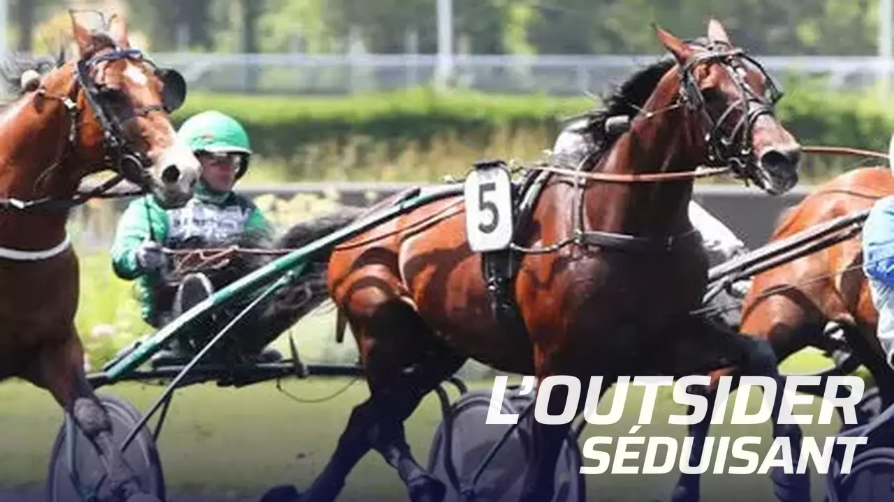 Quinté+: Garth Vader, l'outsider séduisant du Quinté+ du samedi 19 ...