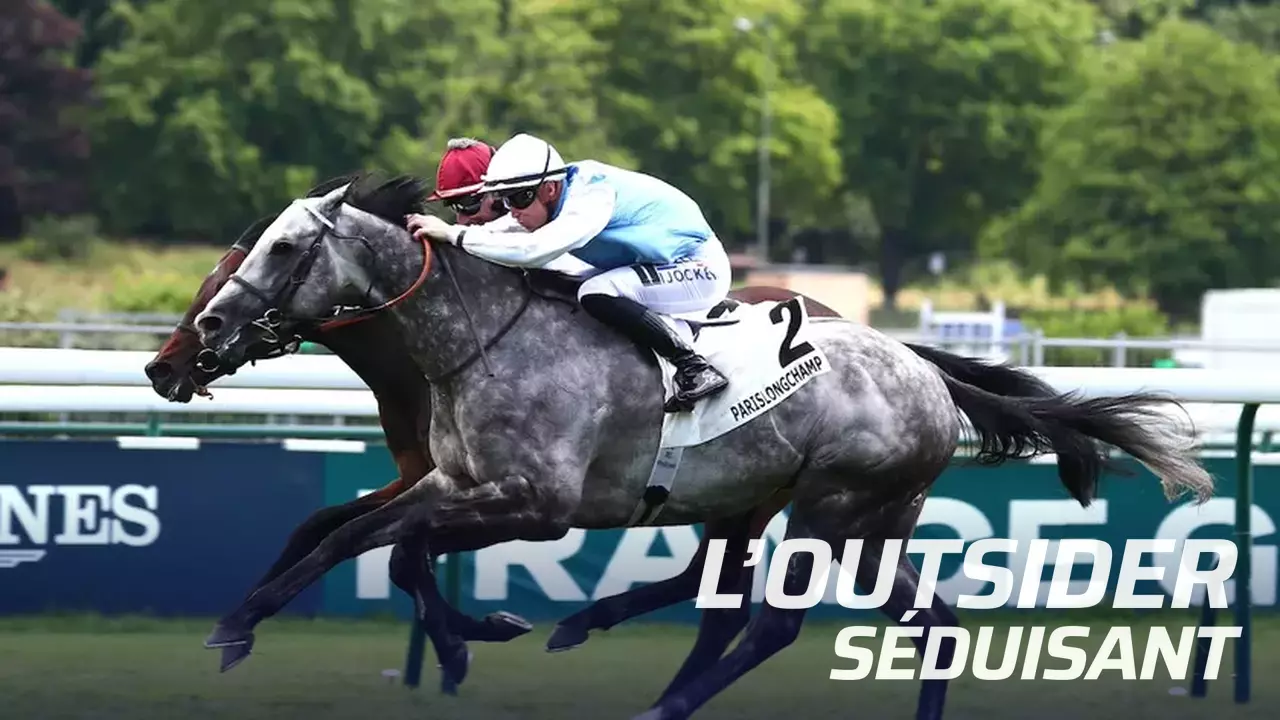 Quinté+: Grey Tornado, l’outsider séduisant du Quinté+ de ce lundi 21 ...