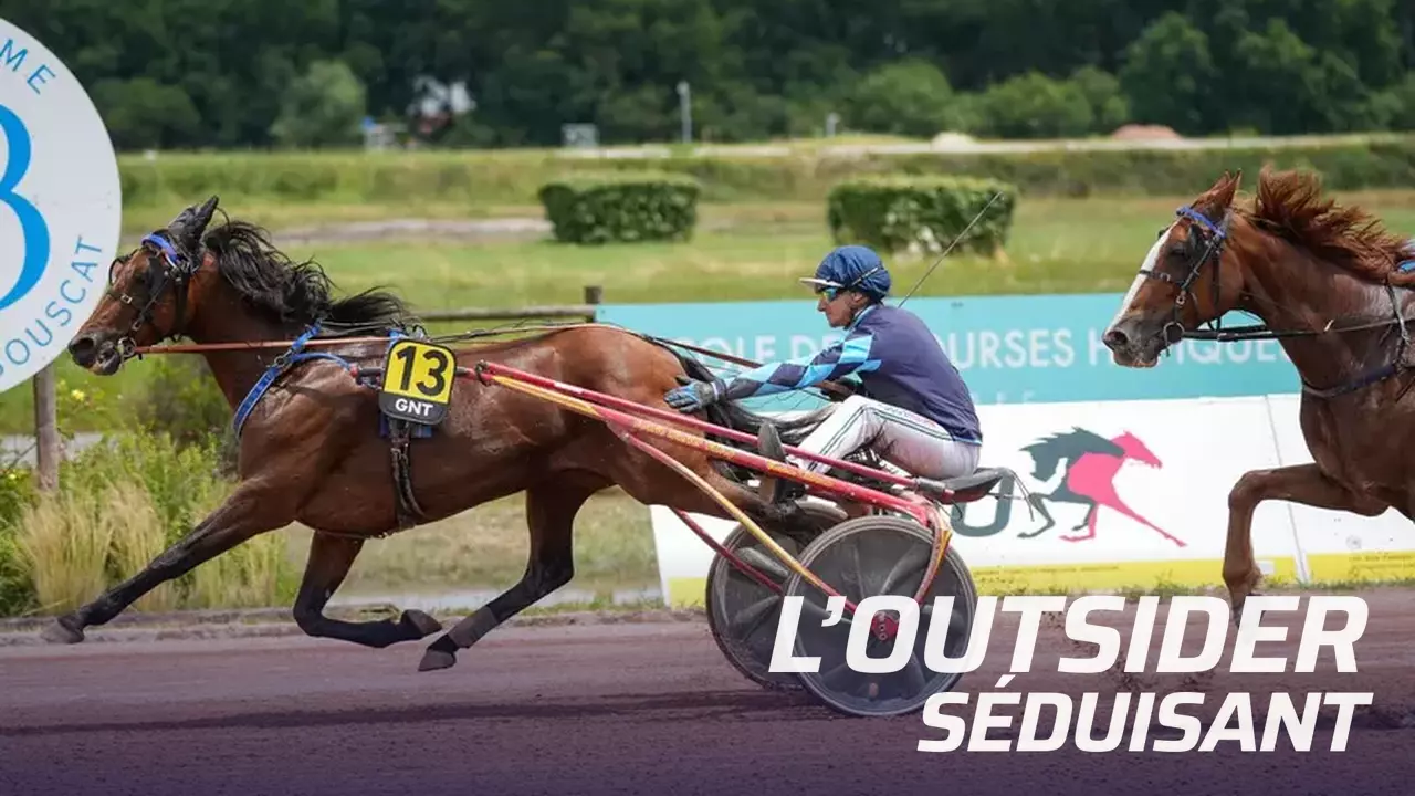 Quinté+: Igrec de Celland, l'outsider séduisant du Quinté+ du mercredi 6 août | Equidia