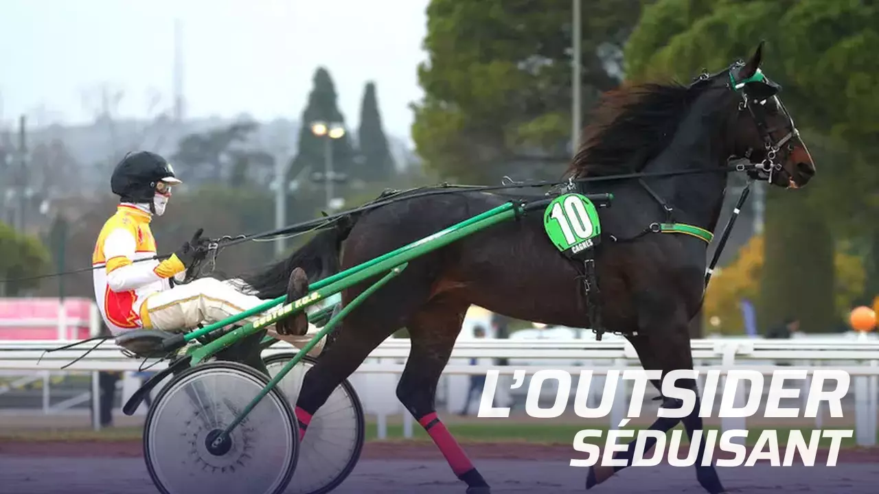 Quinté+: Dylan Dog Font, l’outsider séduisant du Quinté+ de ce mercredi ...