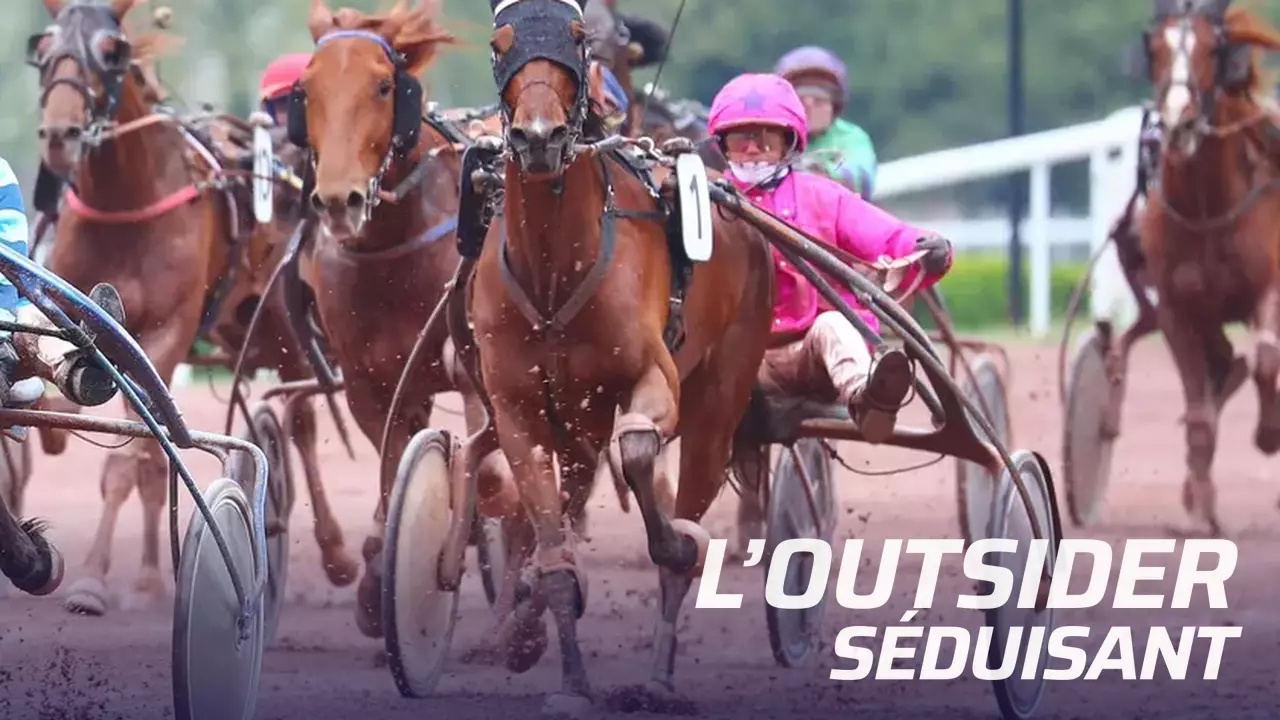 Quinté+: Job des Louanges, l’outsider séduisant du vendredi 28 novembre à Vincennes | Equidia