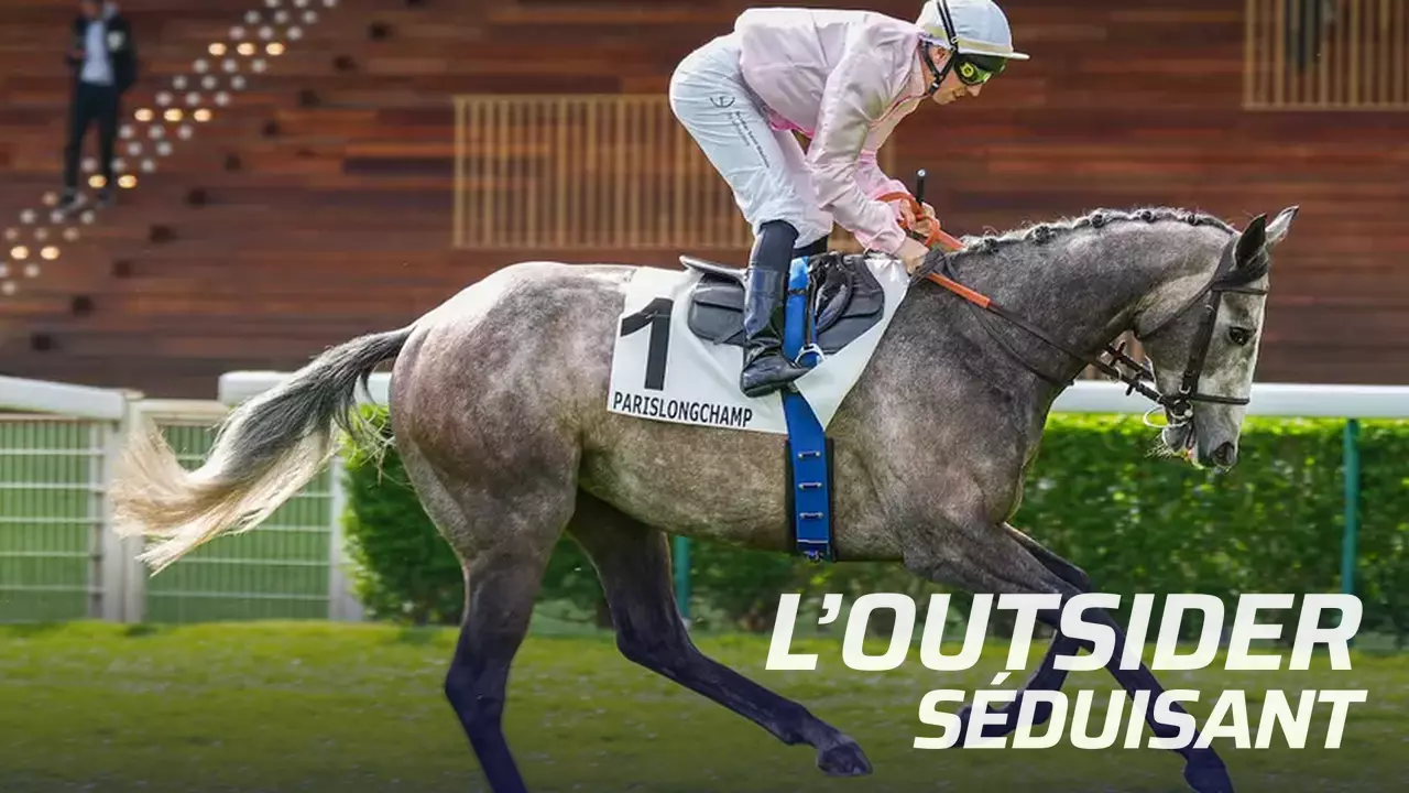 Quinté+: Stormy Donald, l’outsider séduisant du Quinté+ de ce lundi 8 ...