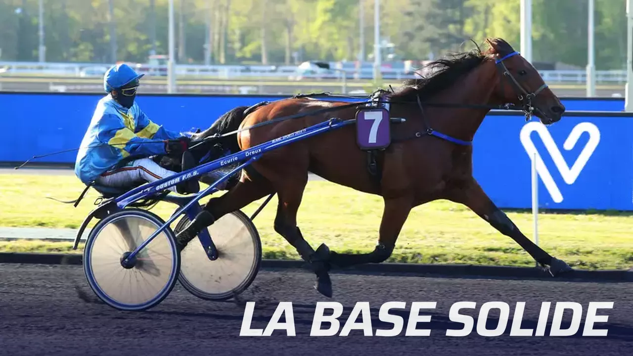 Quinté+: Iquem d'Amer, la base solide du Quinté du vendredi 9 mai à ...