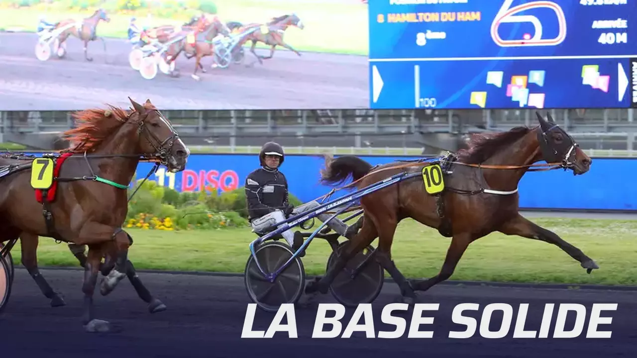 Quinté+: Hôtel Mystic, la base solide du Quinté+ du vendredi 13 juin à ...