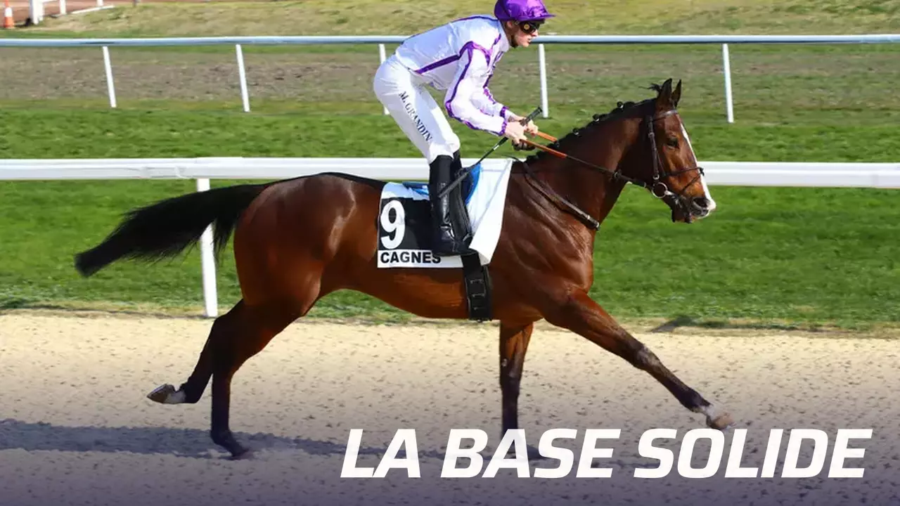 Quinté+: Game Run, la base solide du Quinté+ de ce mardi 6 mai | Equidia