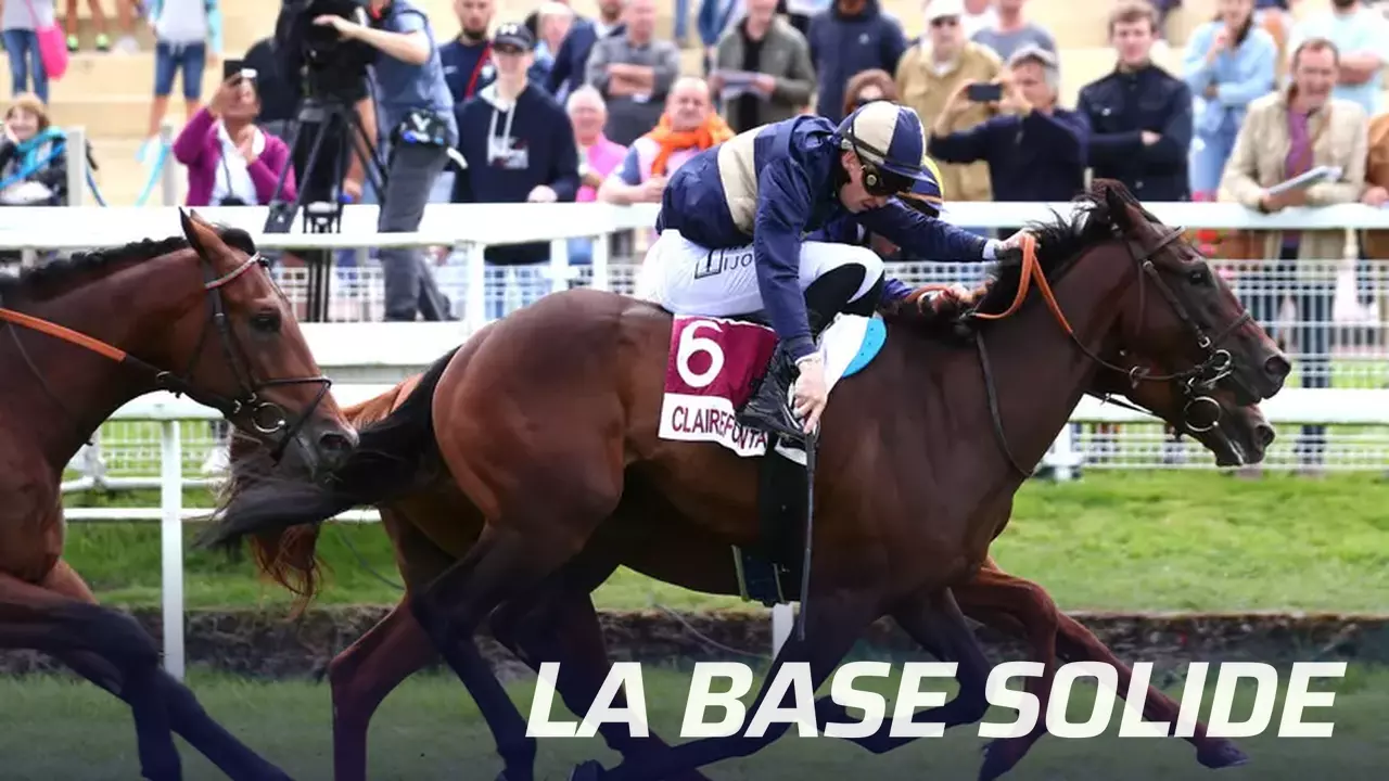 Quinté+: Contentious Soul, la base solide du Quinté+ de ce jeudi 29 mai ...