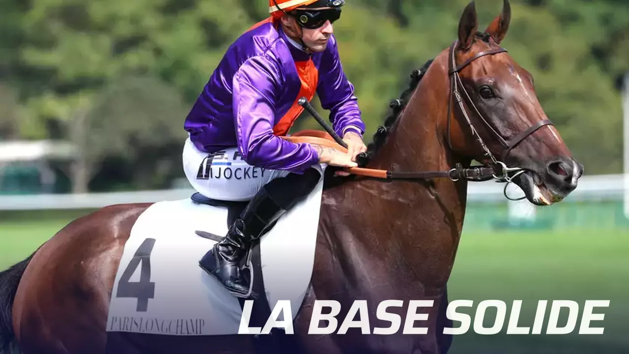 Quinté+: Rock Joyeux, la base solide du Quinté+ du samedi 21 juin | Equidia