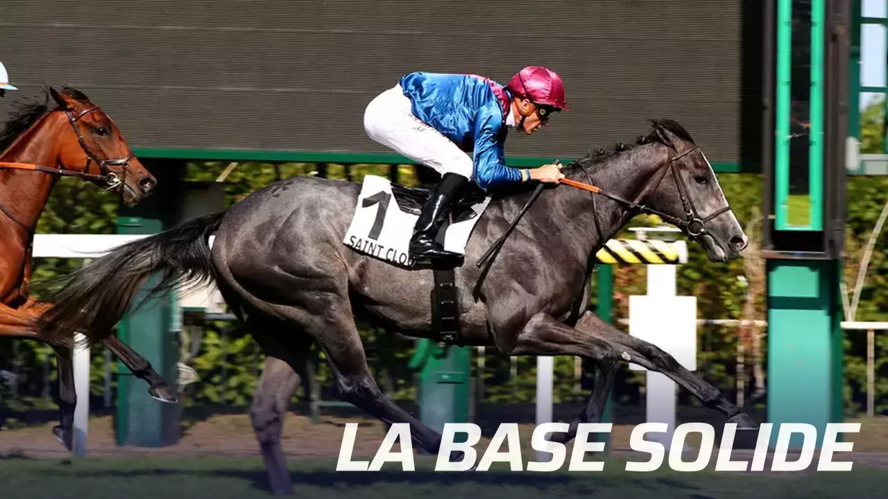 Quinté+: Talentuoso, la base solide du Quinté+ du jeudi 24 juillet à ...