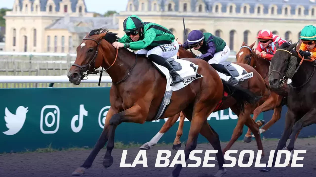 Quinté+: Omicrone, la base solide du Quinté+ du jeudi 10 mars à ...