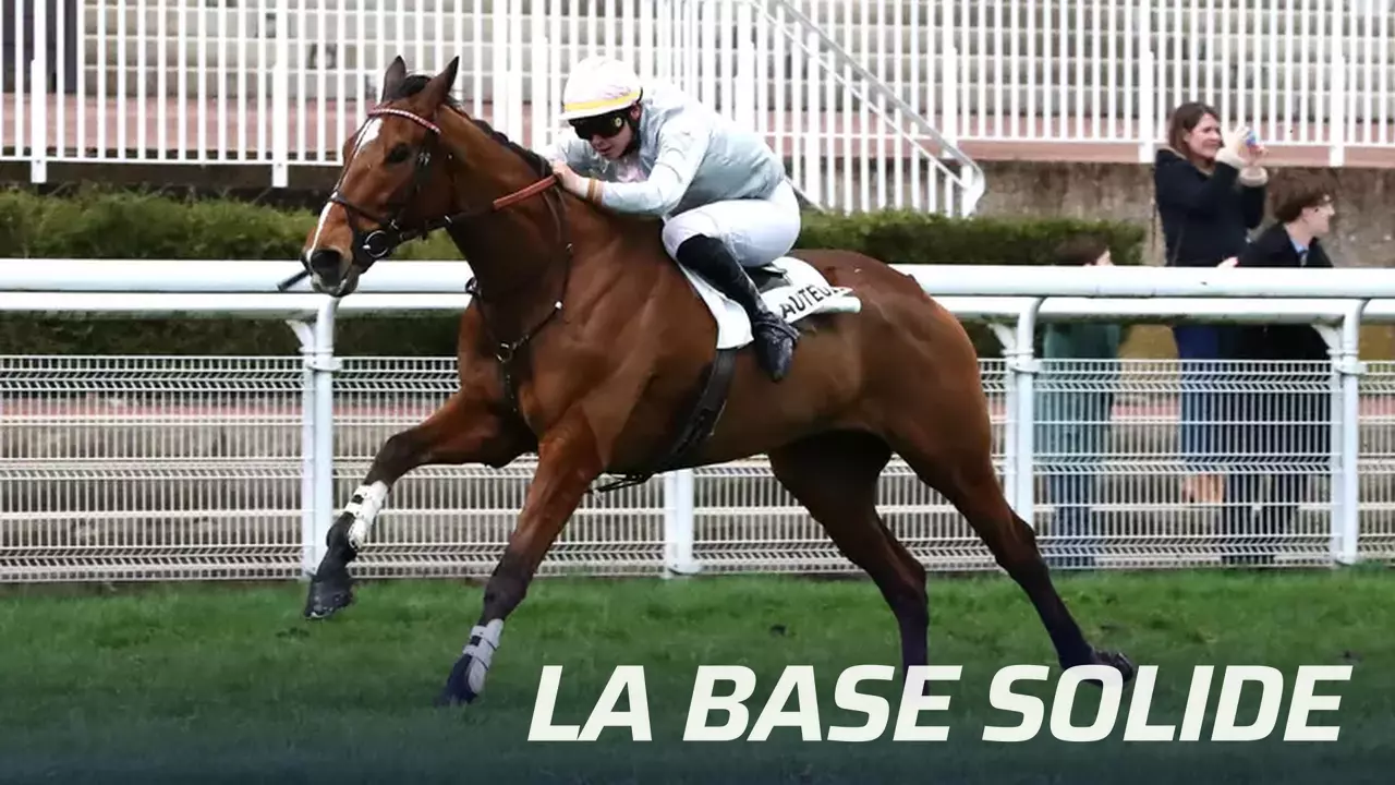 Quinté+: Rêve de Prince, la base solide du Quinté+ de ce samedi 8 mars ...