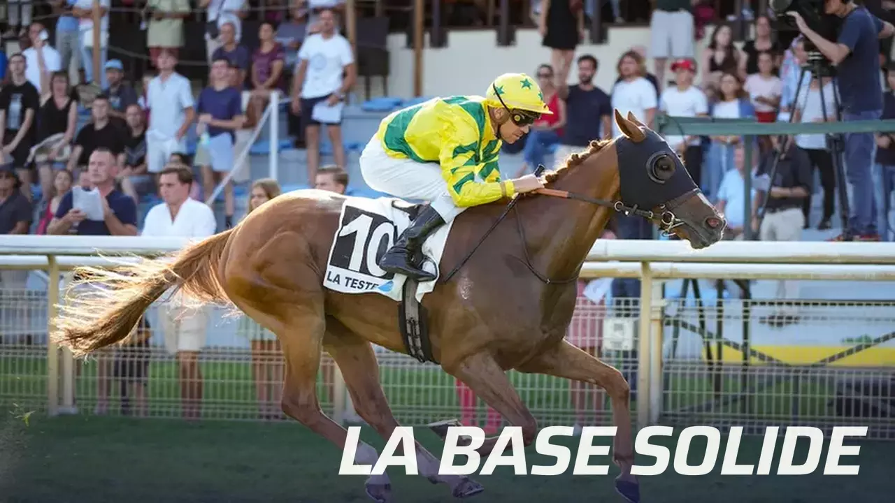 Quinté+: Harry Way, la base solide du Quinté+ de ce dimanche 13 juillet ...