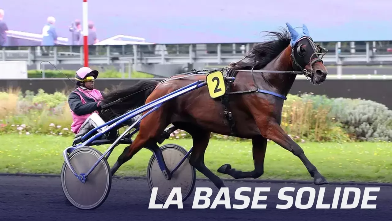 Quinté+: Java d'Anama, la base solide du Quinté+ de ce samedi 11 ...