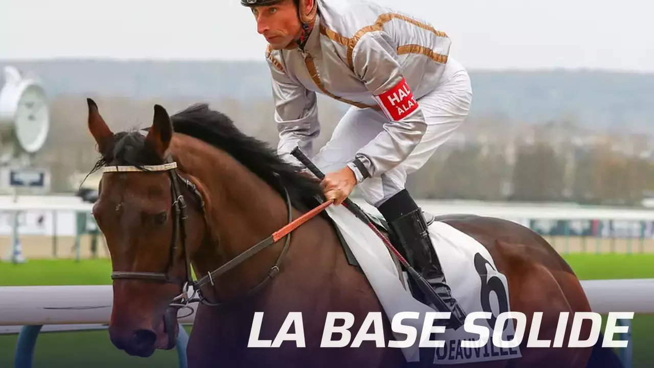 Quinté+: Everstar, la base solide du Quinté+ de ce jeudi 27 mars | Equidia