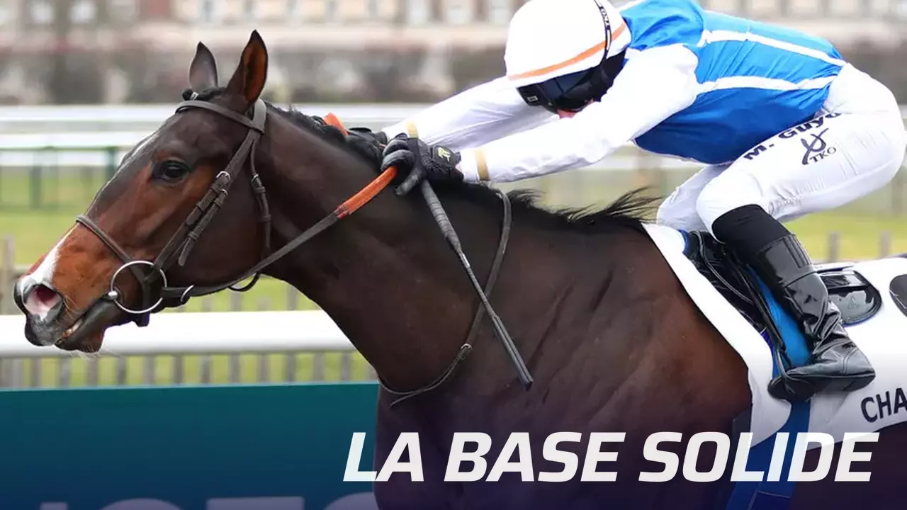 Quinté+: Nofix, la base solide du Quinté+ de ce mardi 29 juillet | Equidia