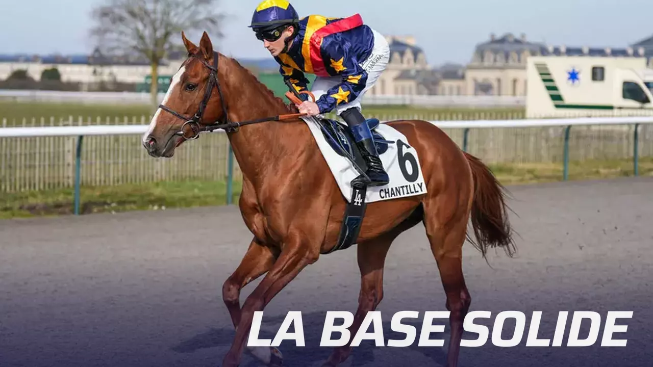 Quinté+: Vivid, la base solide du Quinté+ de ce mardi 19 août | Equidia