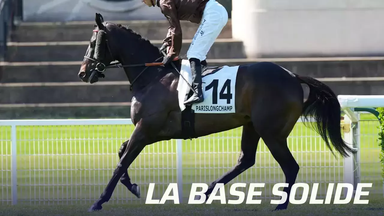 Quinté+: Grand Son of Calyx, la base solide du Quinté+ de ce mardi 29 ...