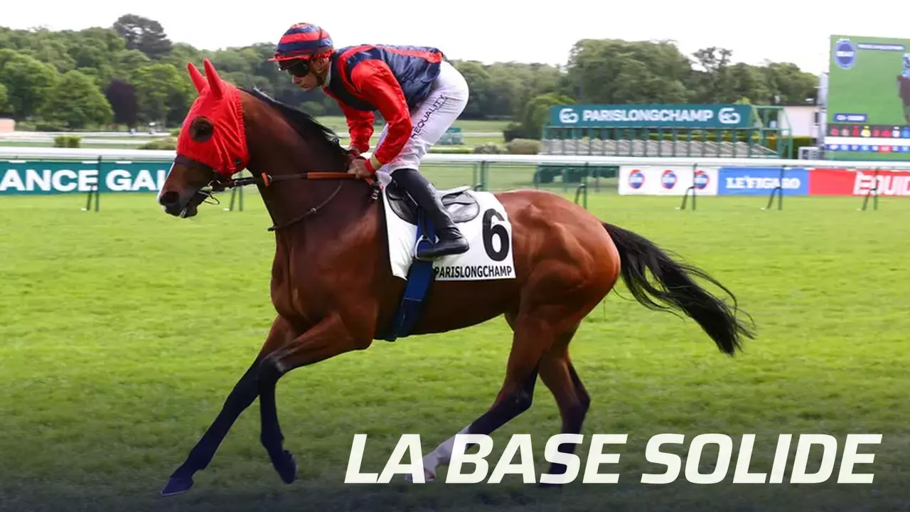 Quinté+: El Pequenio, la base solide du Quinté+ du lundi 9 juin à ...