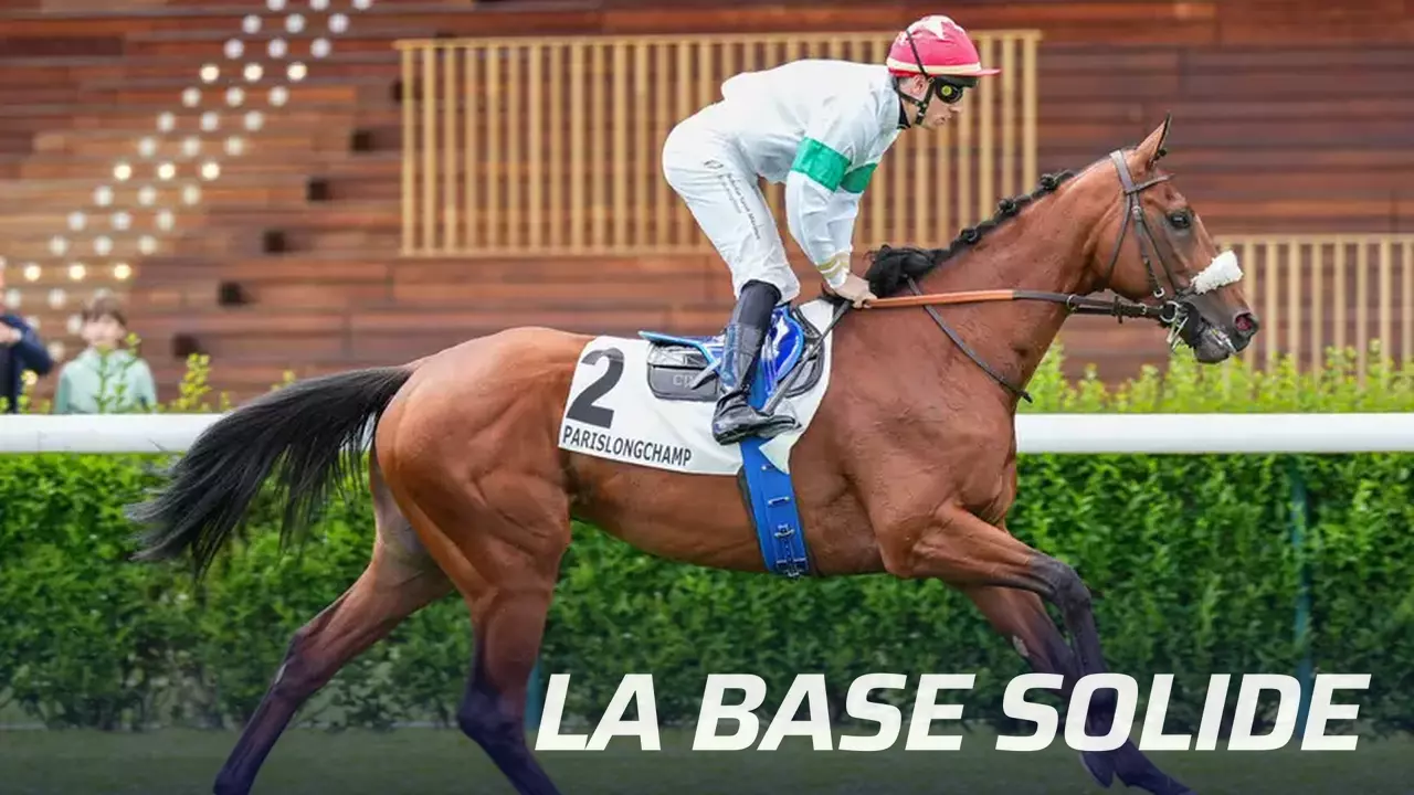 Quinté+: Good Speed, la base solide du Quinté+ de ce jeudi 31 juillet ...