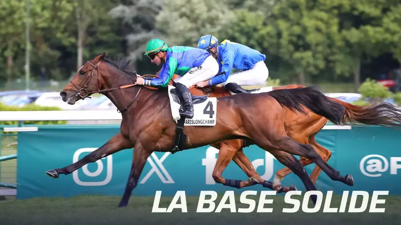 Quinté+: Roulette, la base solide du Quinté+ de ce jeudi 19 juin | Equidia