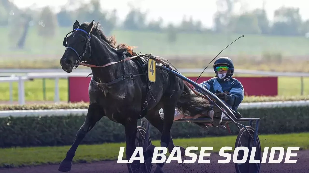 Quinté+: Jojo Toons, la base solide du Quinté+ de ce mercredi 22 octobre à Beaumont-de-Lomagne ...