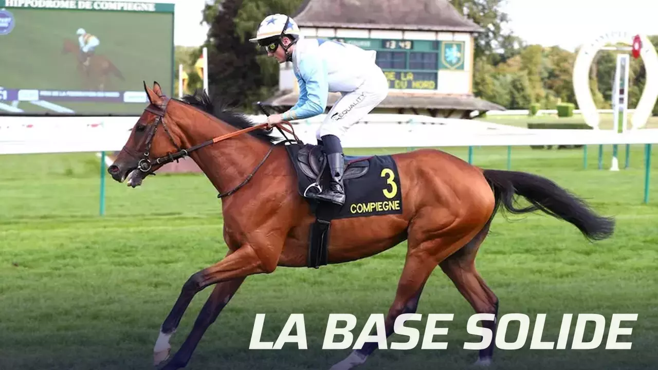 Quinté+: Hasta la Vista, la base solide du Quinté+ de ce dimanche 19 ...