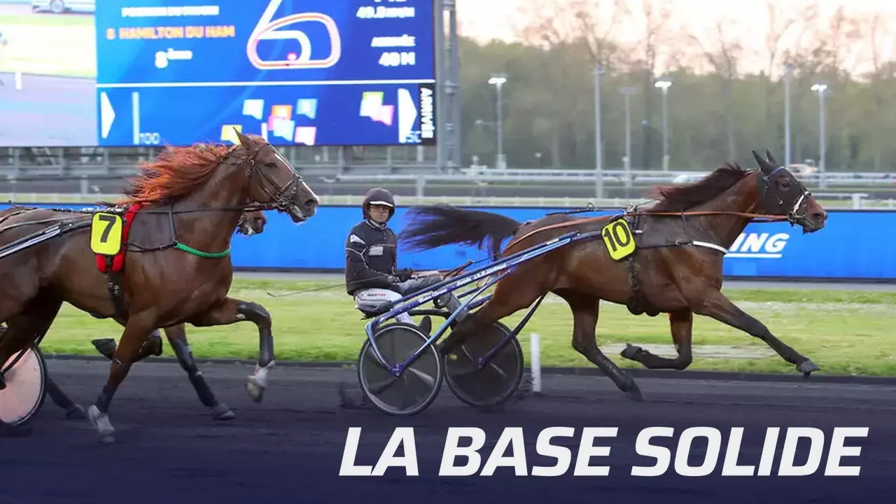 Quinté+: Hôtel Mystic, la base solide du Quinté+ de ce lundi 29 ...