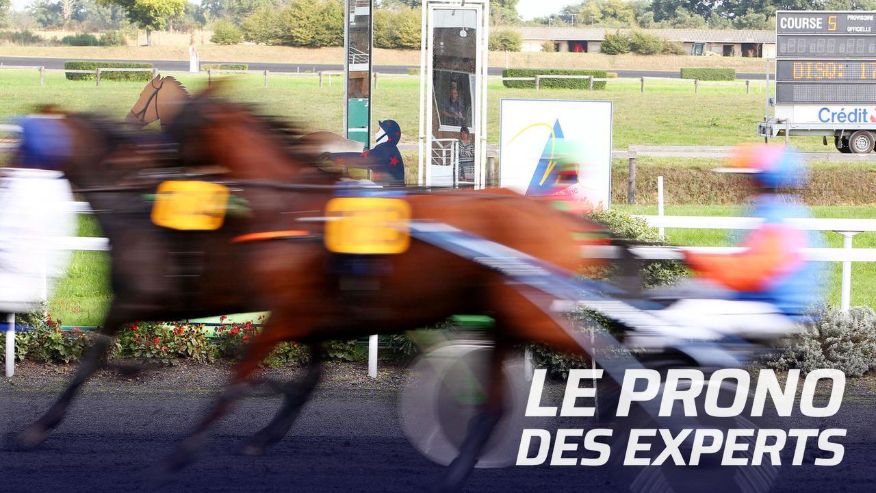 Les pronostics des experts pour la réunion 1 à MESLAY-DU-MAINE ce mercredi 10 septembre | Equidia