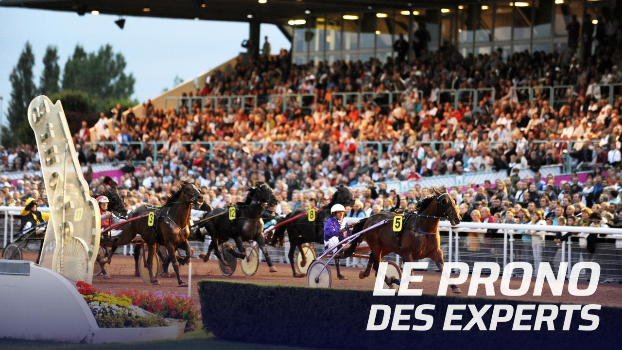 Les pronostics des experts pour la réunion 1 à CABOURG ce vendredi 1er août | Equidia
