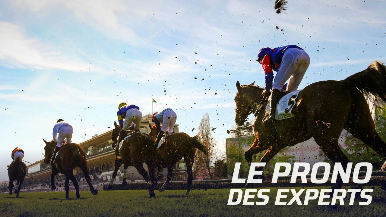 Les pronostics des experts pour la réunion 1 à AUTEUIL ce mardi 9 septembre | Equidia