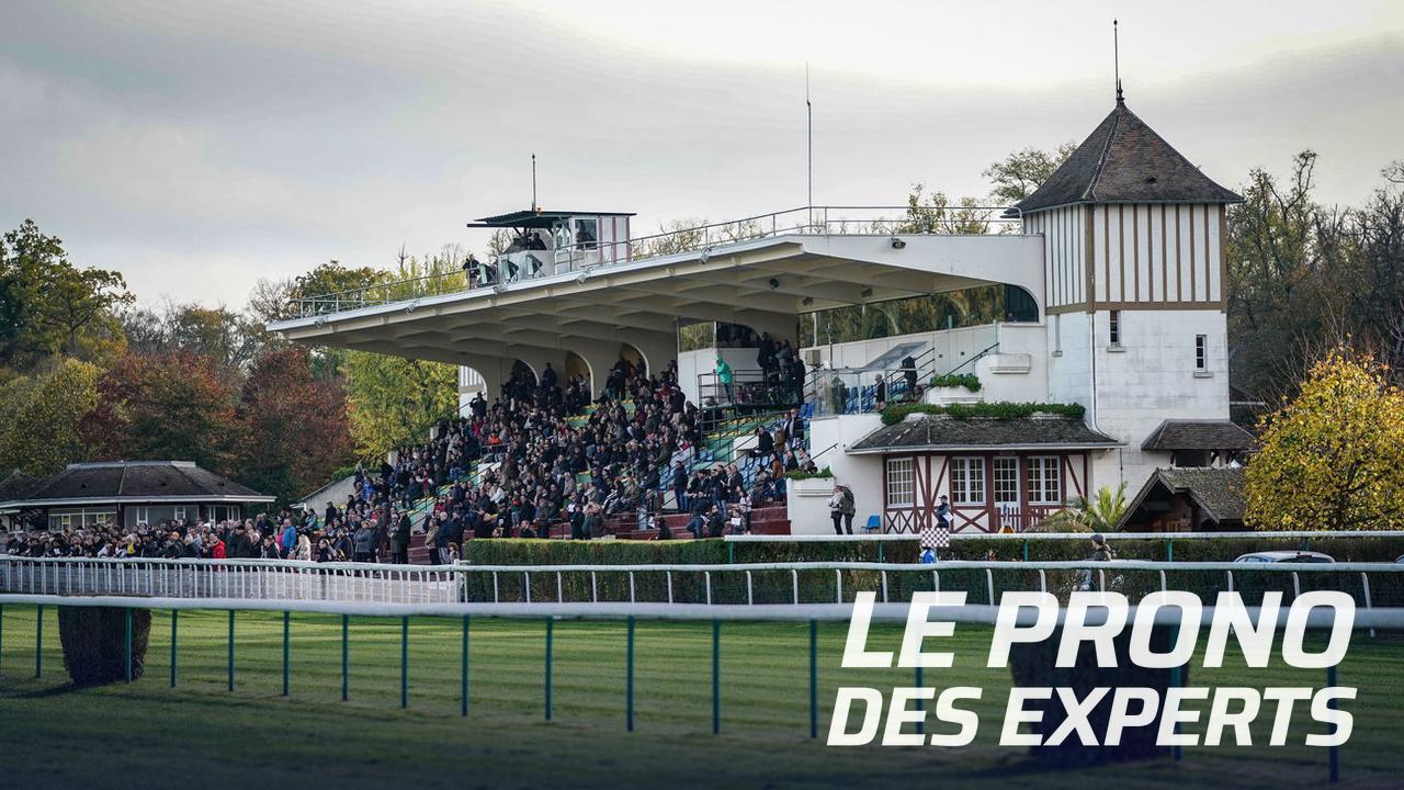Les pronostics des experts pour la réunion 1 à COMPIEGNE ce jeudi 2 octobre | Equidia
