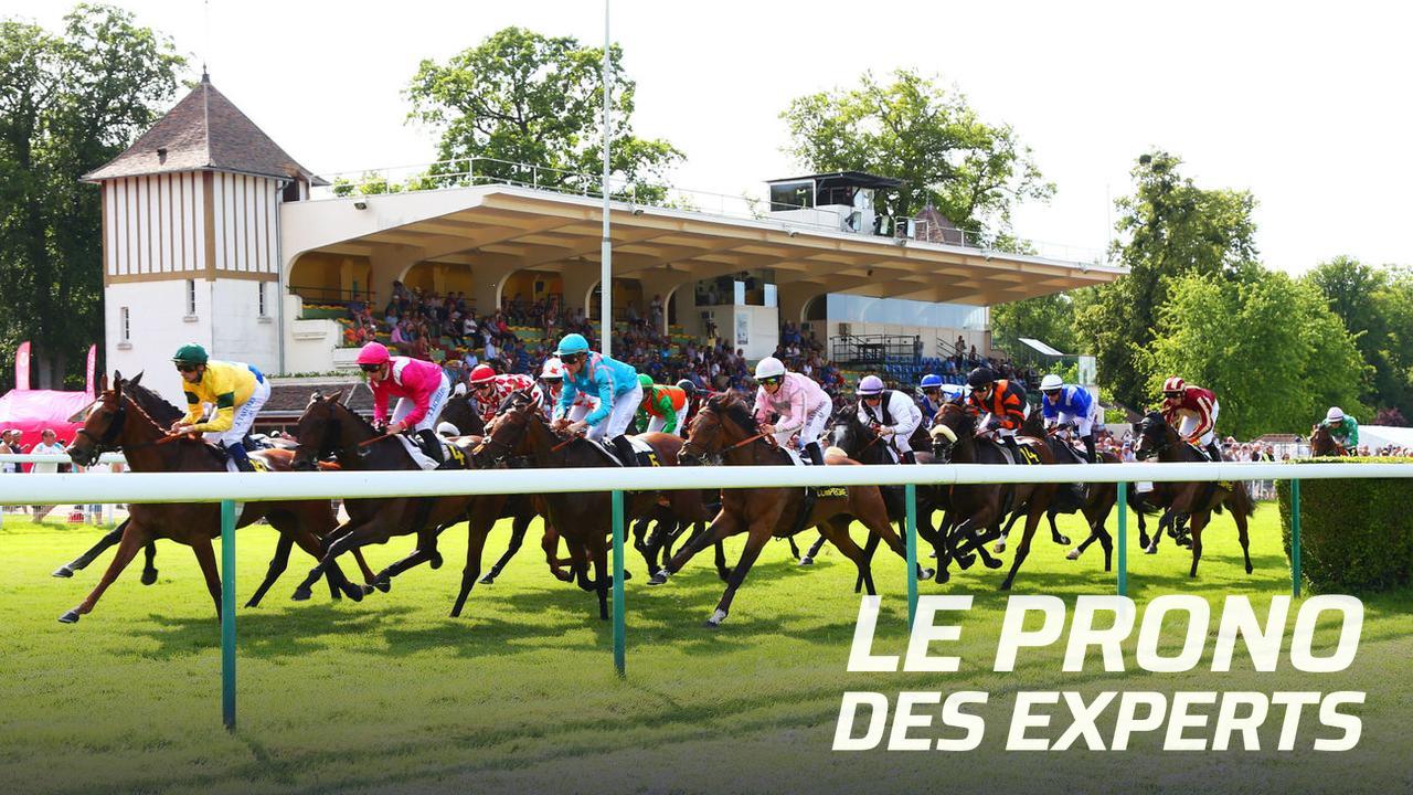 Les pronostics des experts pour la réunion 1 à COMPIEGNE ce mardi 29 juillet | Equidia