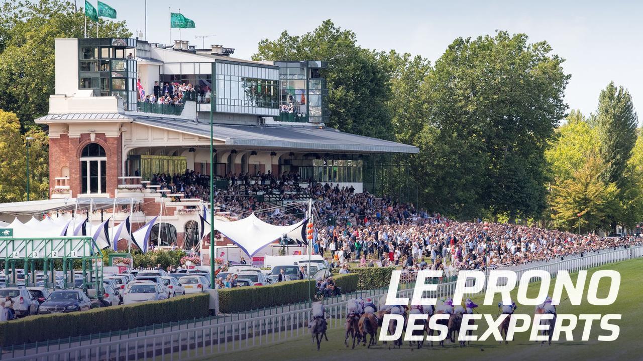Les pronostics des experts pour la réunion 1 à DEAUVILLE ce mercredi 26 novembre | Equidia
