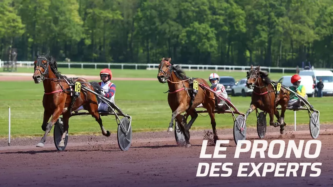 Les pronostics des experts pour la réunion 1 à CHATEAUBRIANT ce lundi 7 juillet | Equidia