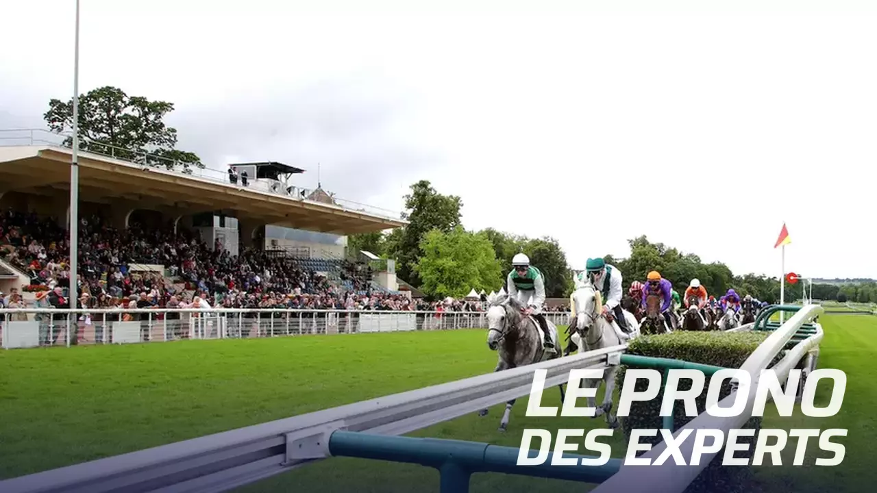 Les pronostics des experts pour la réunion 1 à COMPIEGNE ce samedi 21 juin | Equidia