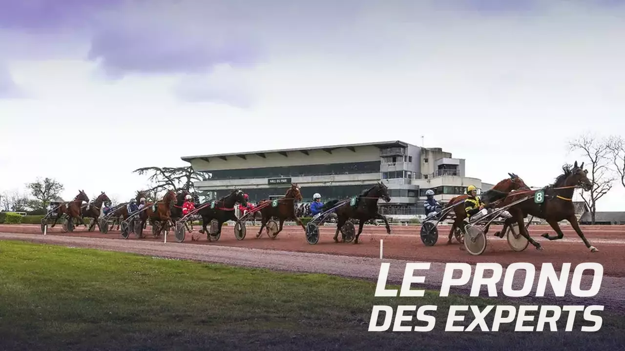 Les Pronostics Des Experts Pour La Réunion 1 à Angers Ce Mercredi 1er