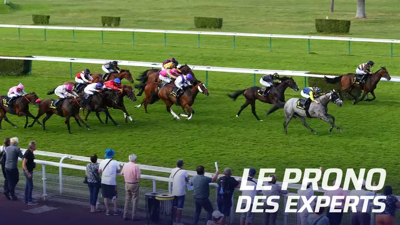 Les pronostics des experts pour la réunion 1 à COMPIEGNE ce lundi 25 ...