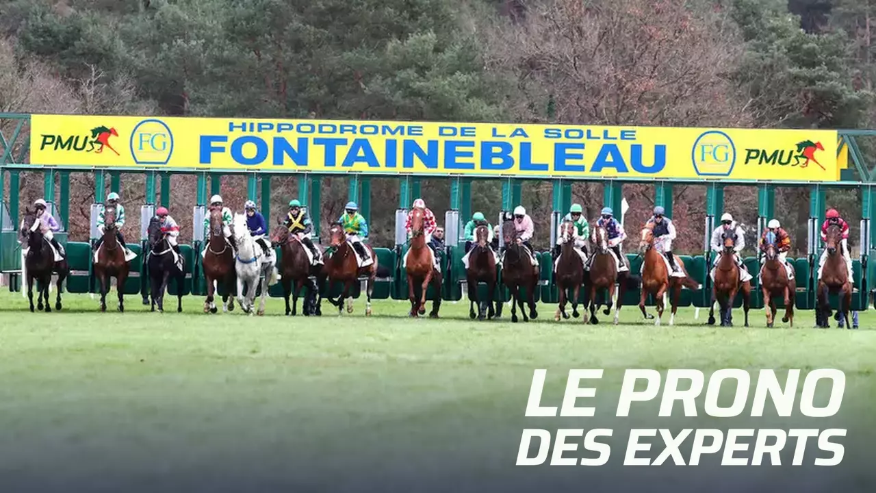 Les pronostics des experts pour la réunion 1 à FONTAINEBLEAU ce lundi 21 avril | Equidia