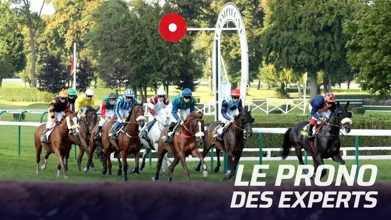 Les pronostics des experts pour la réunion 1 à COMPIEGNE ce samedi 25 octobre | Equidia