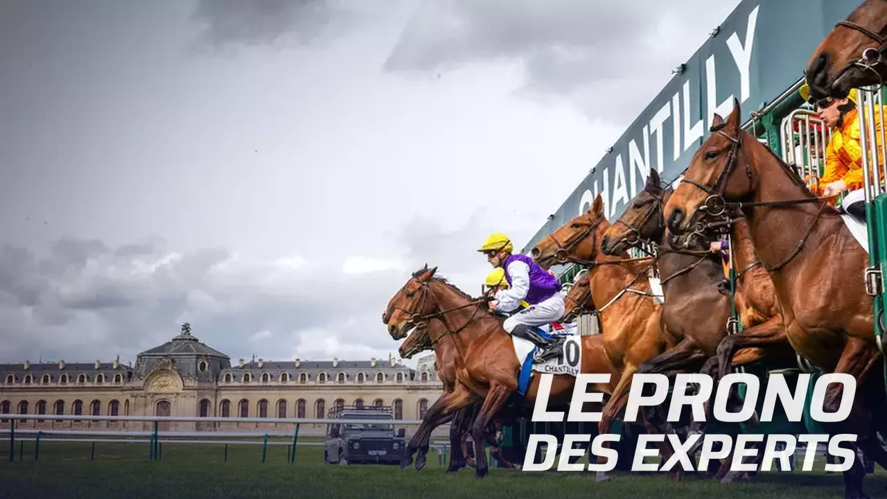 Les Pronostics Des Experts Pour La Réunion 1 à Chantilly Ce Dimanche