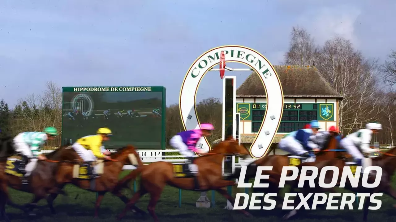 Les pronostics des experts pour la réunion 1 à COMPIEGNE ce mardi 16 septembre | Equidia