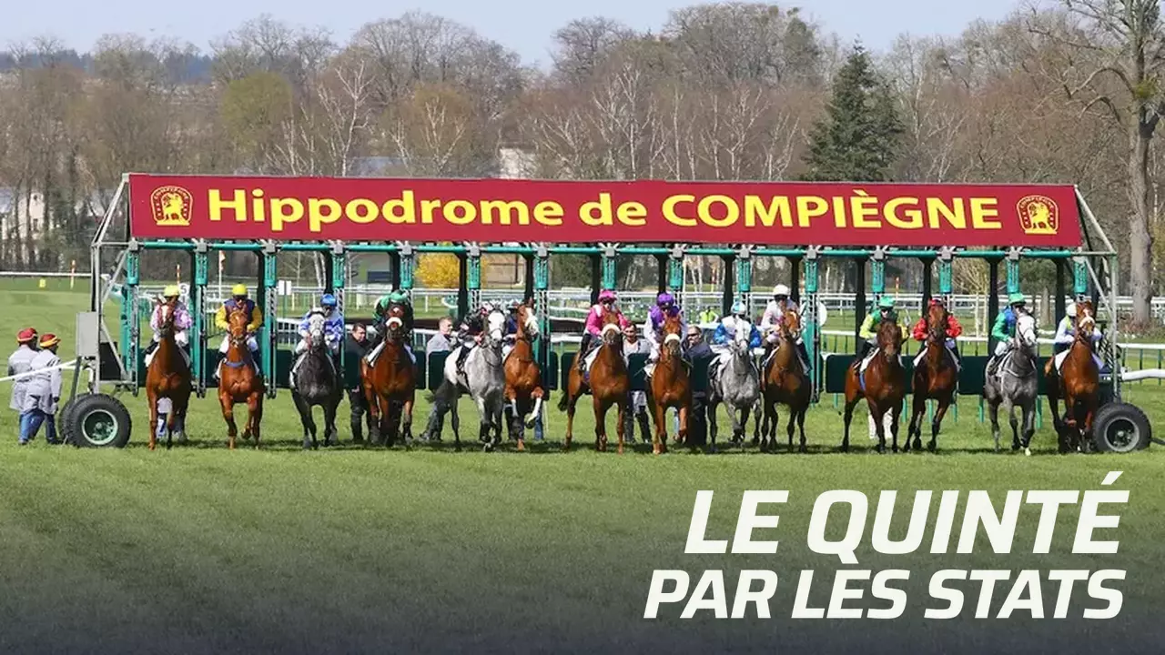 Quinté+: Le Quinté+ du mardi 16 septembre vu par les statistiques | Equidia