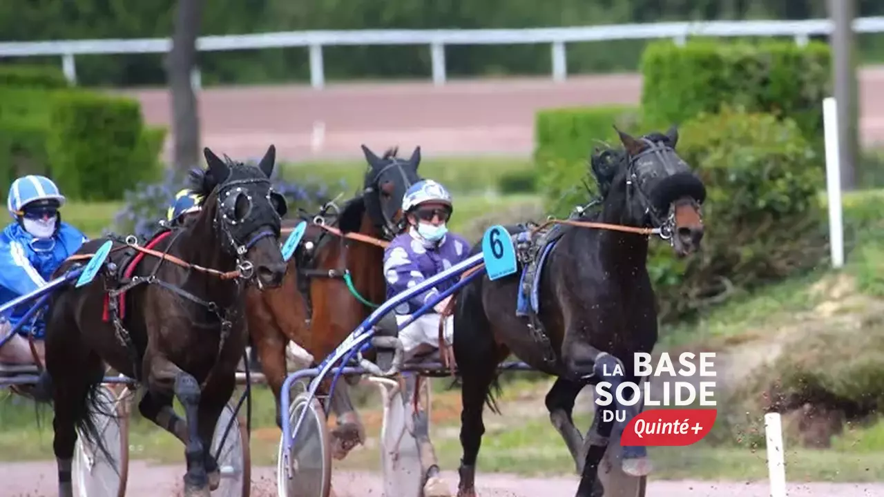 Quinté+: Homard Land, la base solide du Quinté+ de ce lundi 11 mars ...