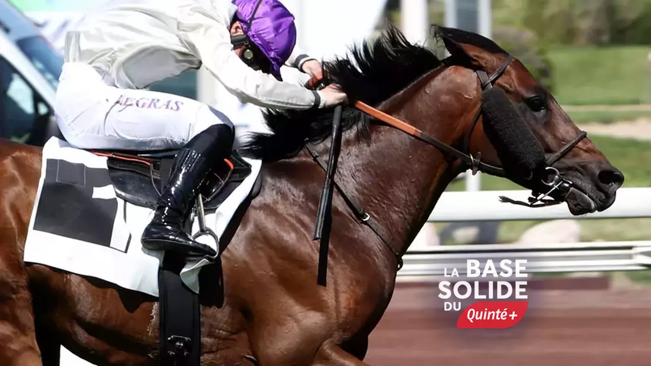 Quinté+: Rocquemont, la base solide du Quinté+ du mardi 23 janvier ...