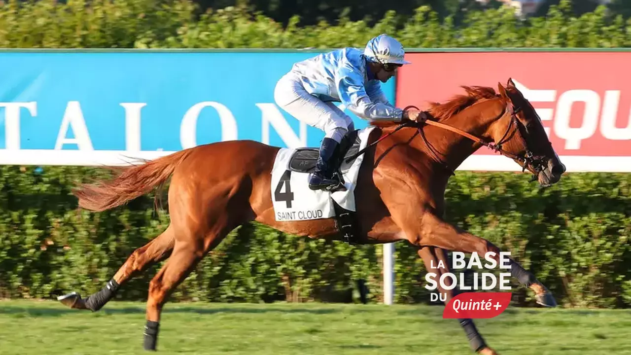 Opalus Road, la base solide du Quinté+ du 12 mars à Saint-Cloud | Equidia