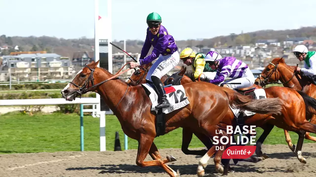 Quinté+: Uzel, la base solide du Quinté+ de ce vendredi 5 janvier | Equidia