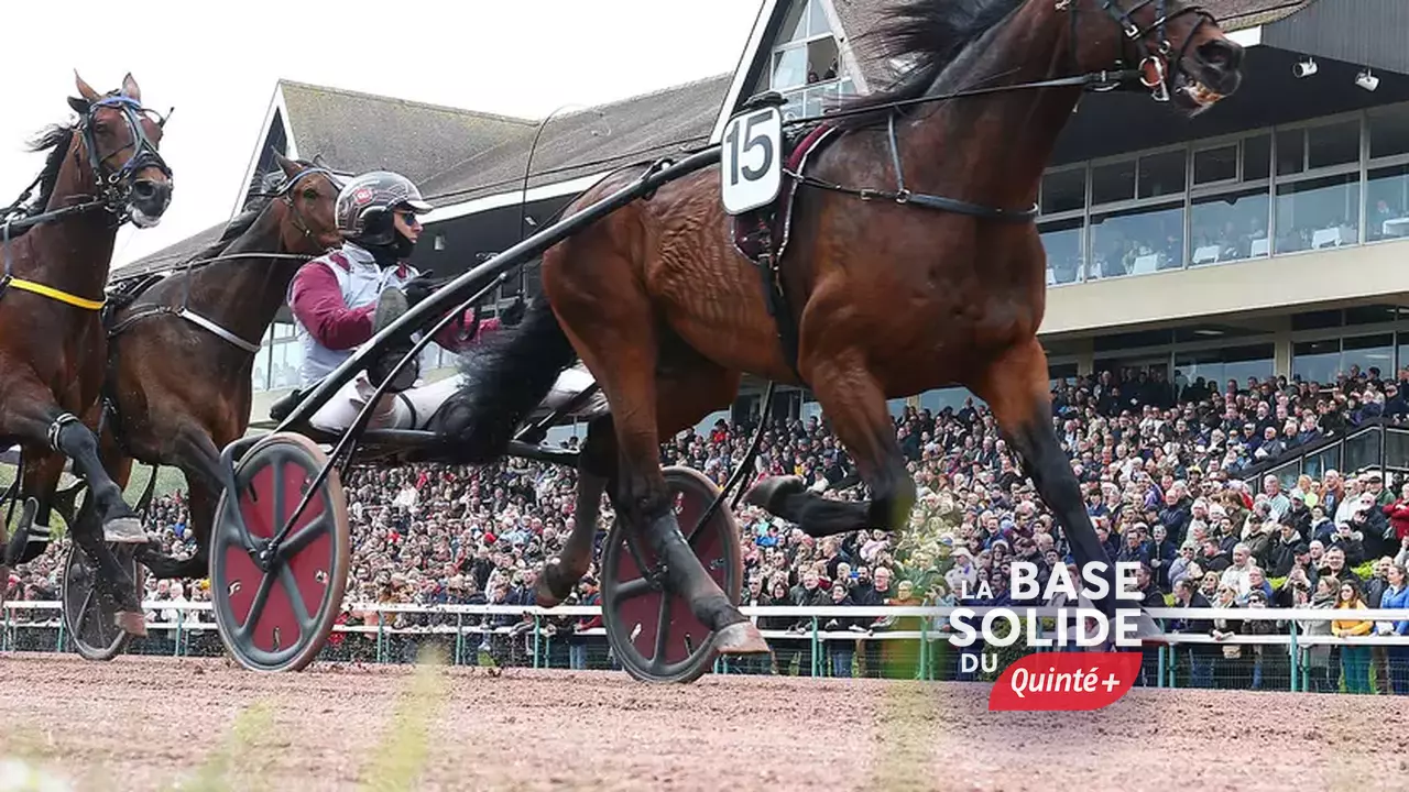 Quinté+: Hohneck, la base solide du Quinté+ de ce samedi 11 mai | Equidia