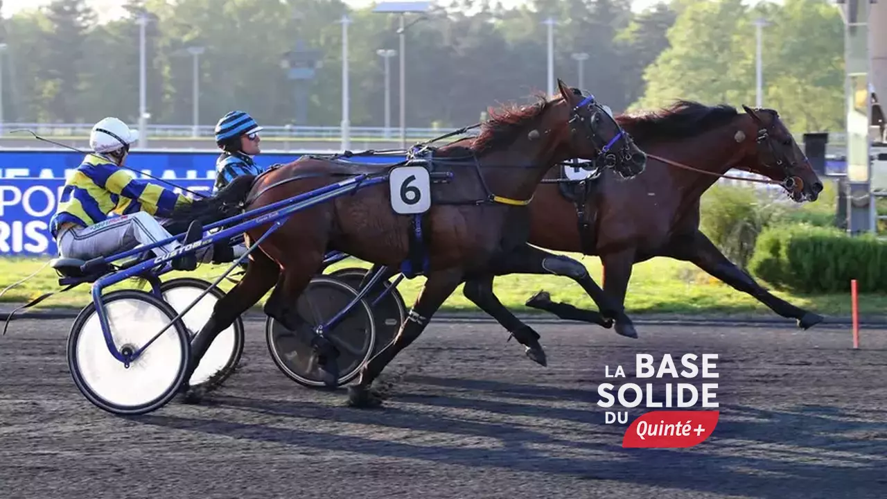 Quinté+: Hokkaido Jiel, la base solide du Quinté+ du dimanche 19 ...